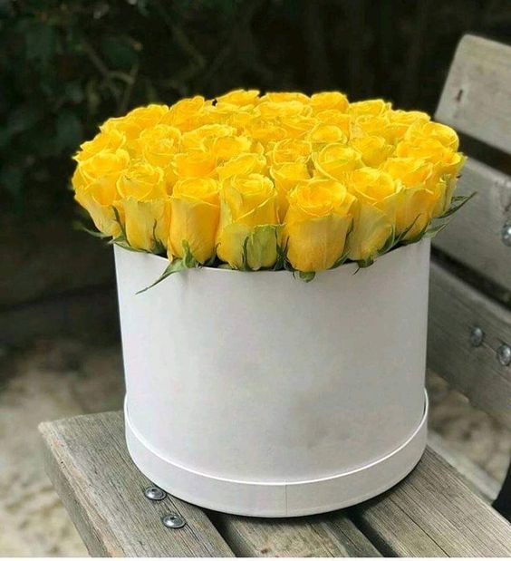 BOX PREMIUM COMPLICES DE ROSAS AMARILLAS - Floristería Cómplices